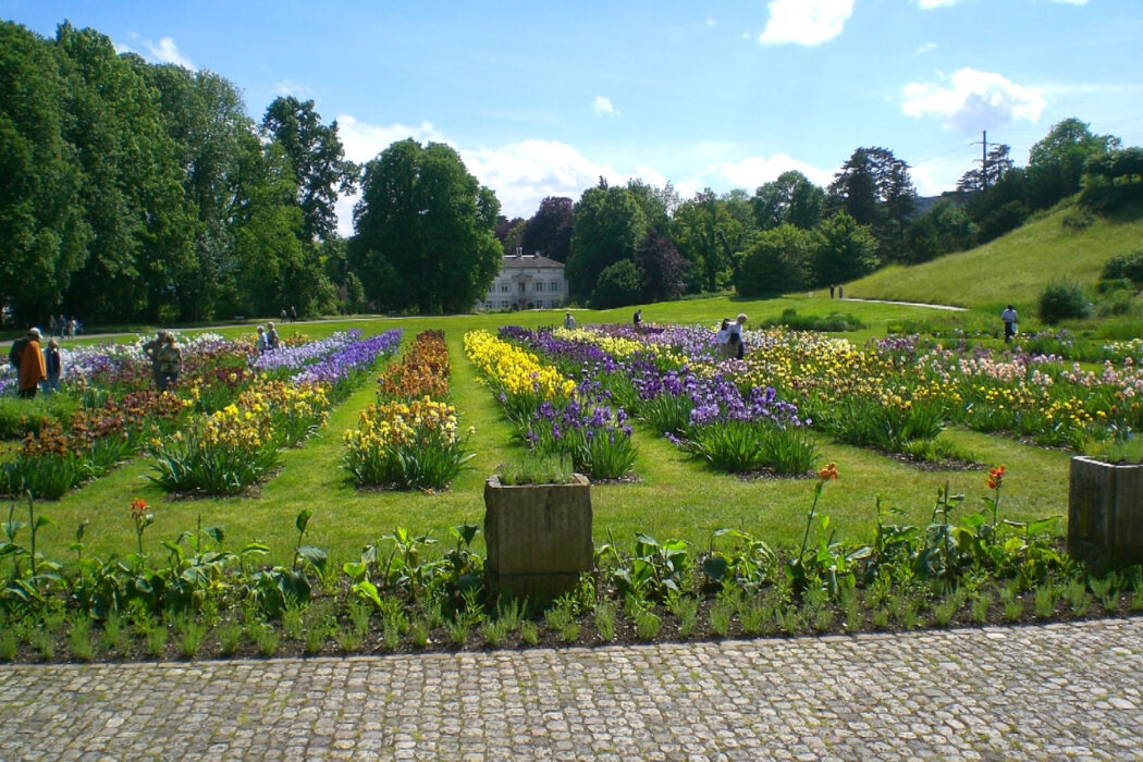 Park im Grünen – Grün 80 Münchenstein | Via Surprise Park im Grünen – Grün 80 Münchenstein | Via Surprise